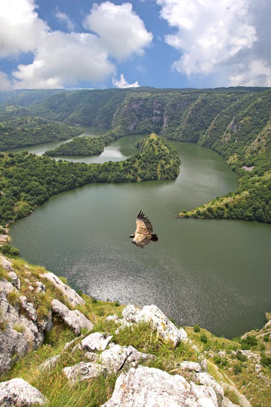 44-Orao - Serbia.com