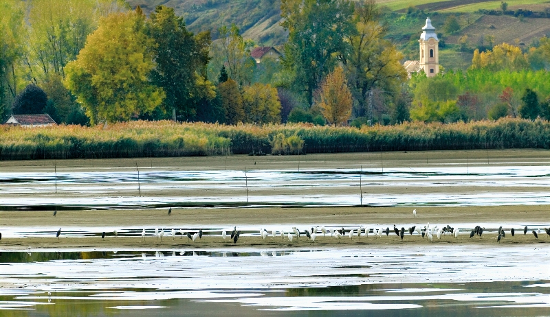 Dunav, kod Futoga - Serbia.com