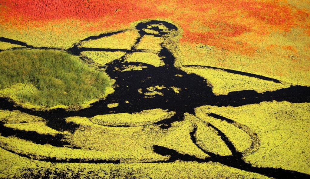 Jezero-Susek-Srem-1024x591 - Serbia.com