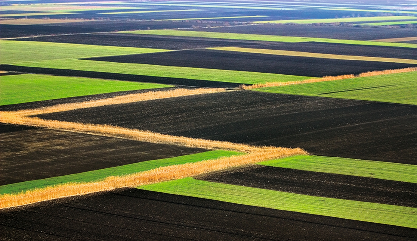 Njive, blizu Indjija.jpg - Serbia.com