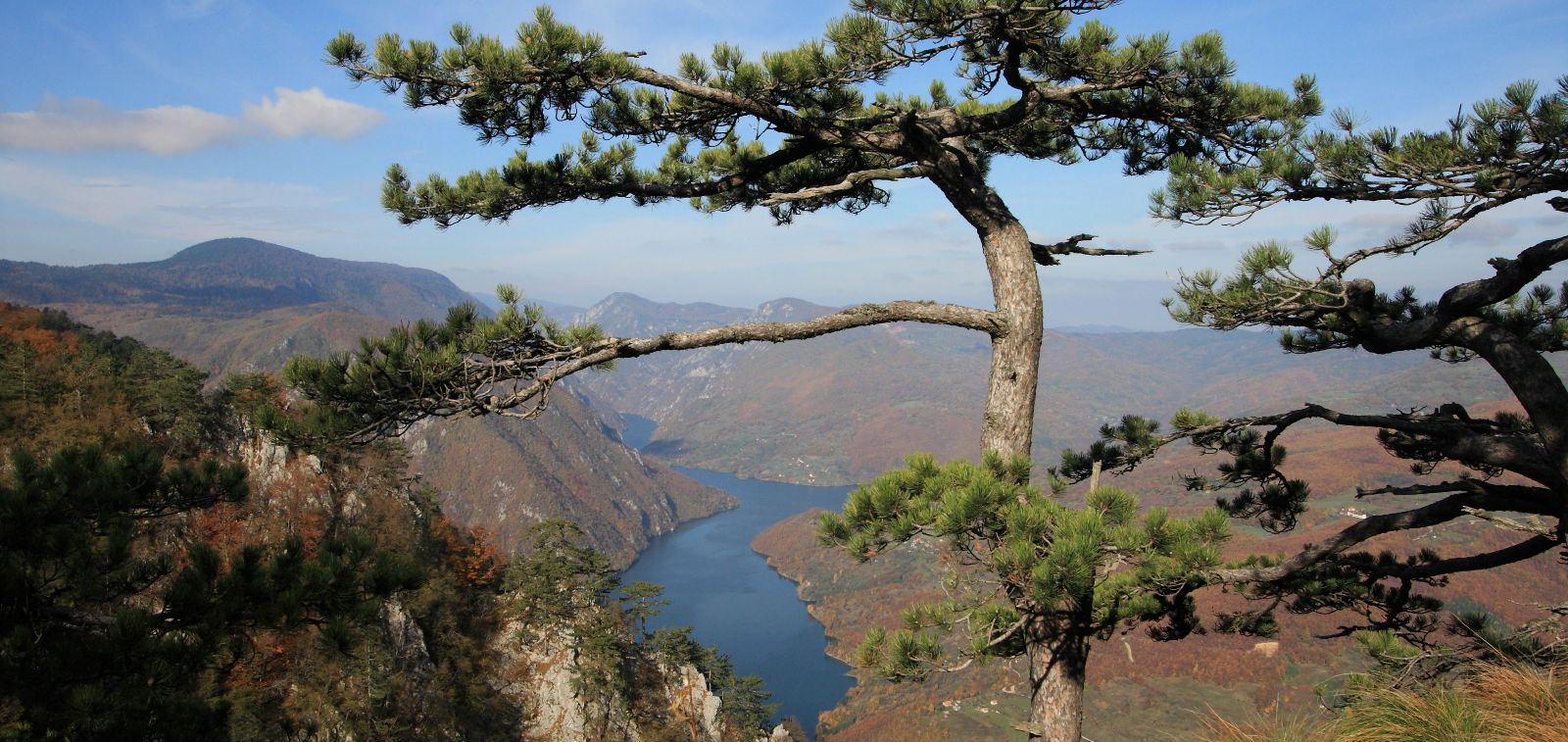 Tara mountain, the home of ancient Slavic gods - Serbia.com