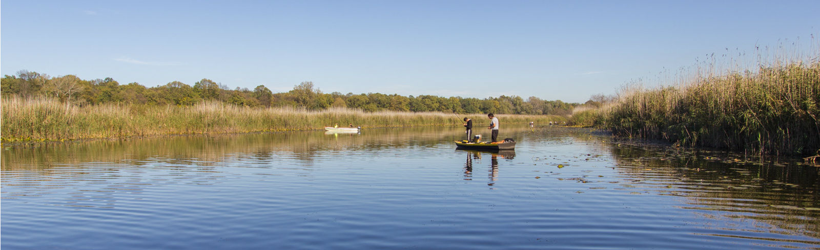 Obedska bara, čarolija prirode - Serbia.com