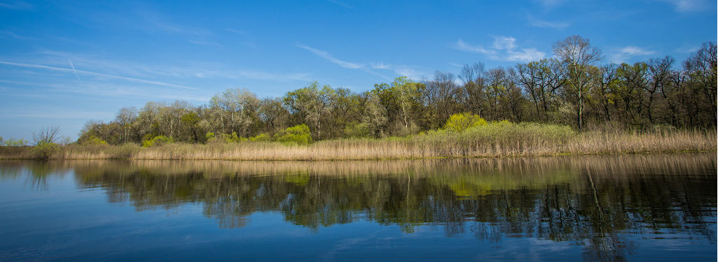 Obedska bara, Witness Nature’s Magic - Serbia.com