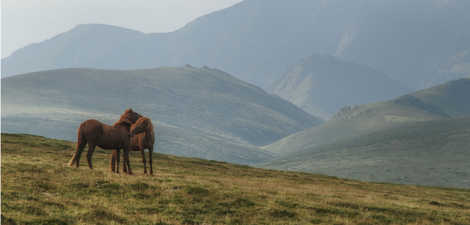 Tara mountain, the home of ancient Slavic gods - Serbia.com