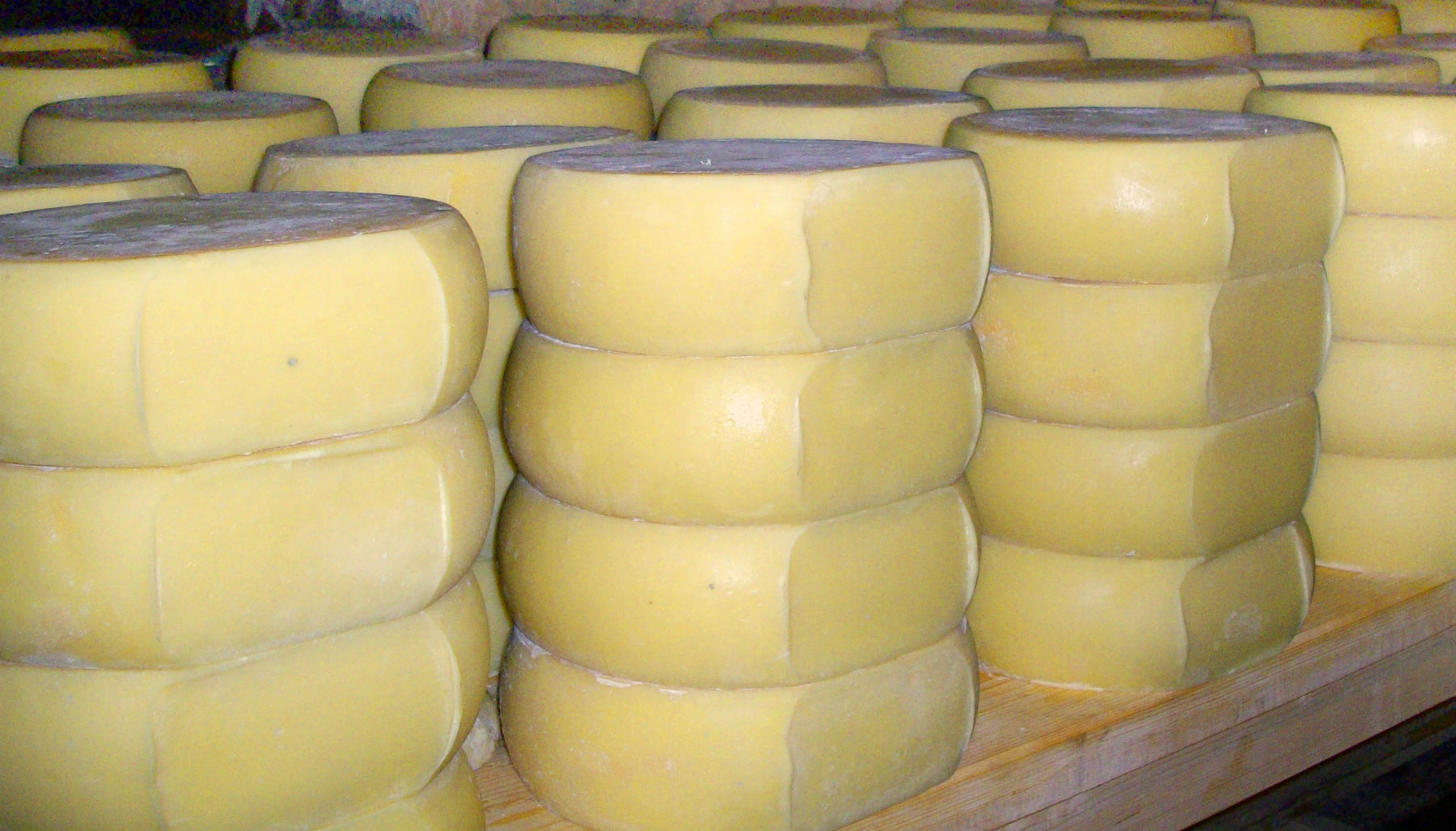 Pirotski kackavalj - Serbia.com