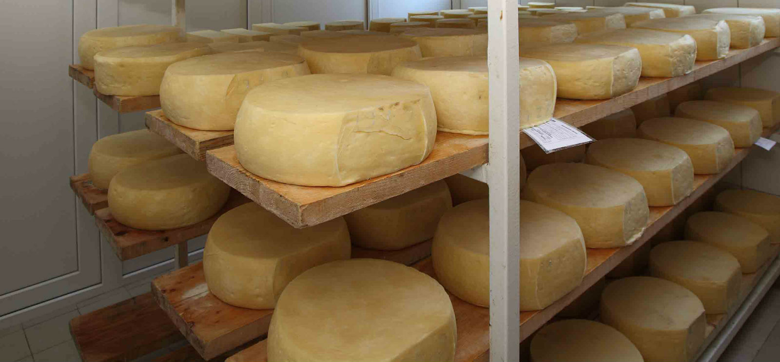 Pirotski kačkavalj - Serbia.com