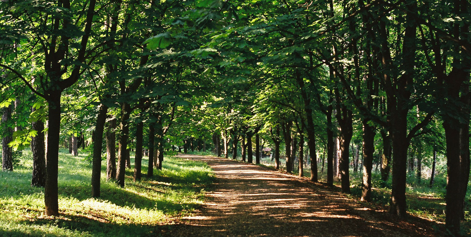 Despotovac, the Town of Despot Stefan Lazarević - Serbia.com