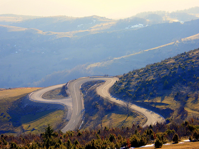 Mount Golija, the Incredible Forest Empire - Serbia.com