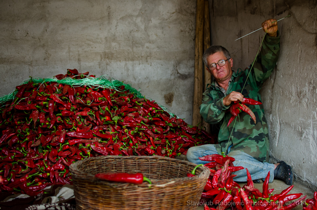 Donja Lokošnica: The kingdom of peppers - Serbia.com