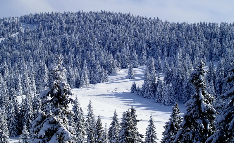 Serbian Ski Resorts, experience the magic of winter - Serbia.com