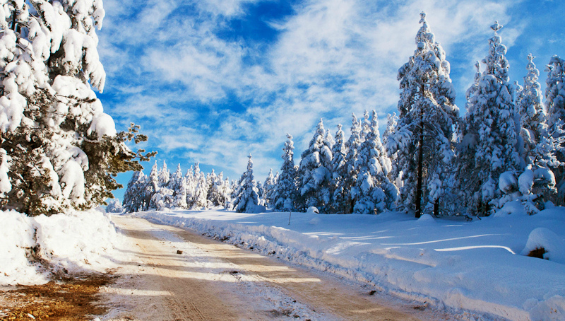 Be creative and win a winter trip to a mountain in Serbia! - Serbia.com