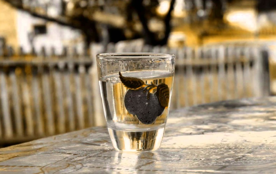 Drink the best Slivovitza in Šljivovica! - Serbia.com