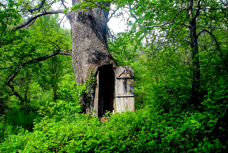 Taken out of a Fairy-tale: Tiny Oak Church Discovered in Serbia ...