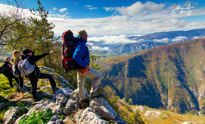 9 Reasons to Pack Your Bags for Mt. Tara Now - Serbia.com
