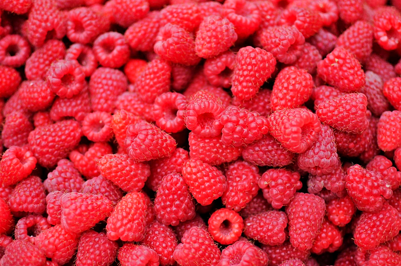 How Serbia Became a Sweet Raspberry Heaven - Serbia.com